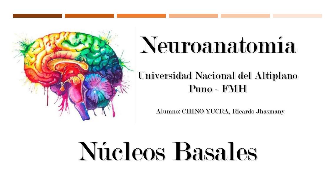 Núcleos basales | Science Students | uDocz