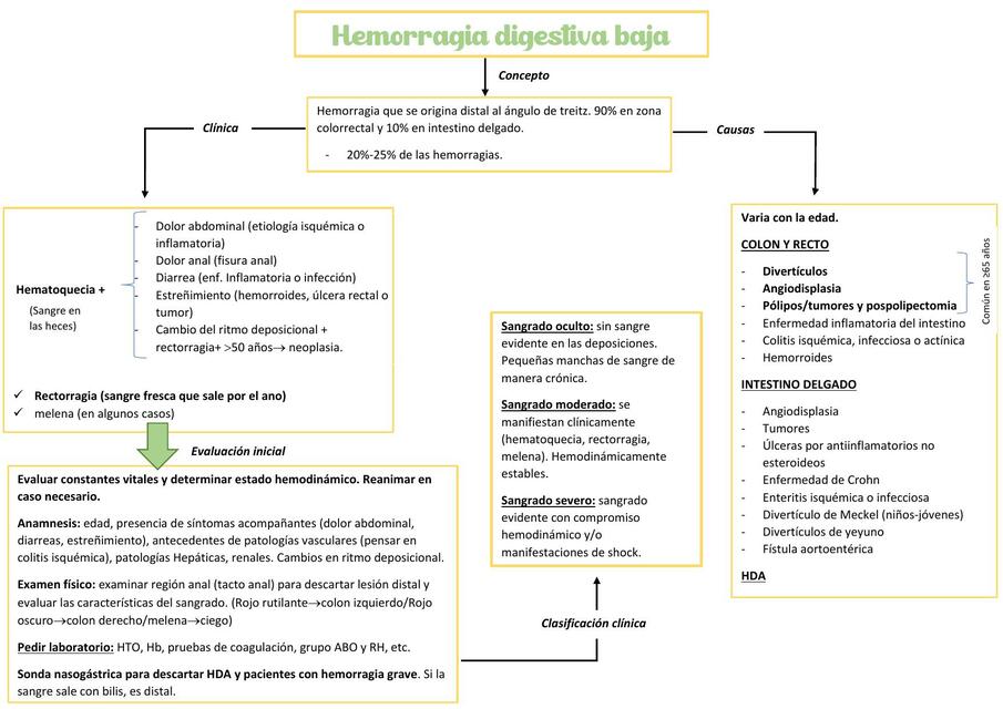 Hemorragia Digestiva Baja | Maria Lujan Caro Duarte | uDocz