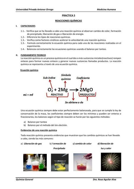 Informe De Laboratorio Reacciones Químicas Melissa Neciosup Udocz