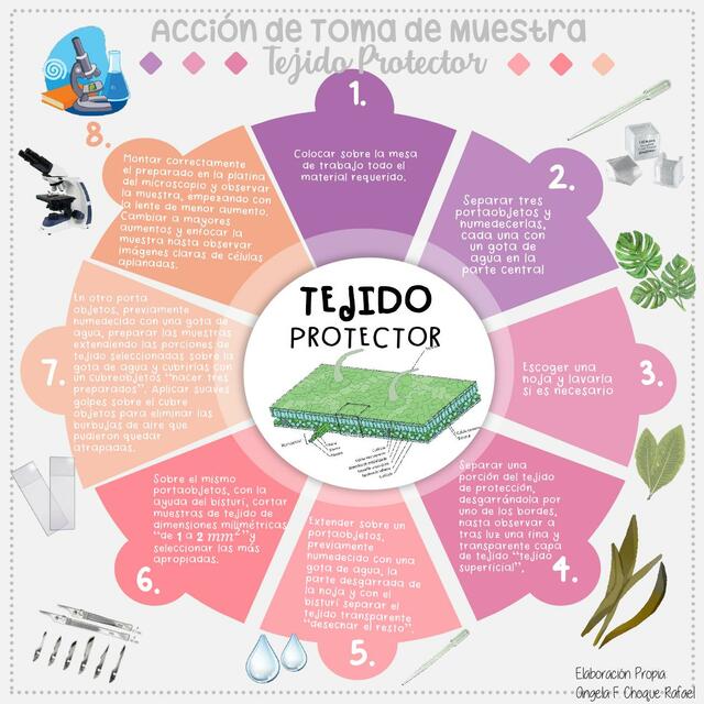 Tejido protector | Angie Choque 🧪 | uDocz
