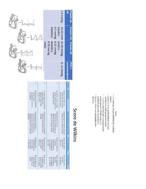 Score de Wilkins | Gaby Heredia | uDocz