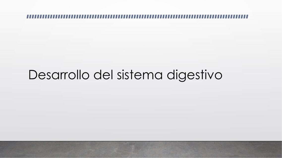 Desarrollo del sistema digestivo | adriana flores | uDocz
