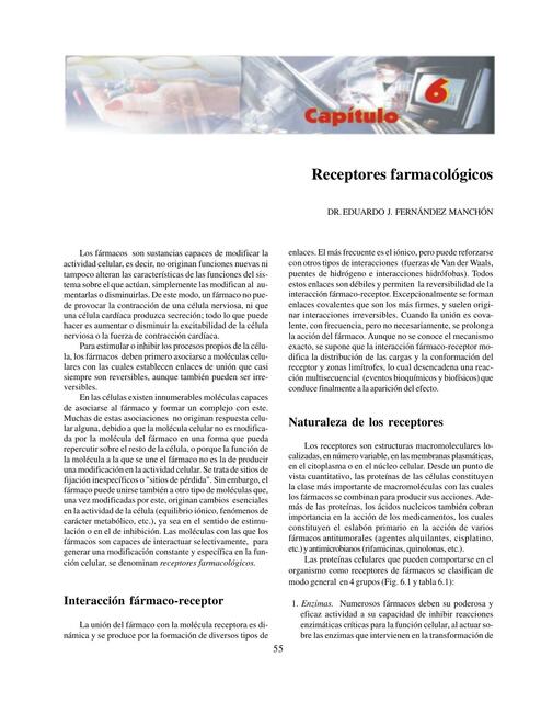 receptores farmacologicos | uDocz