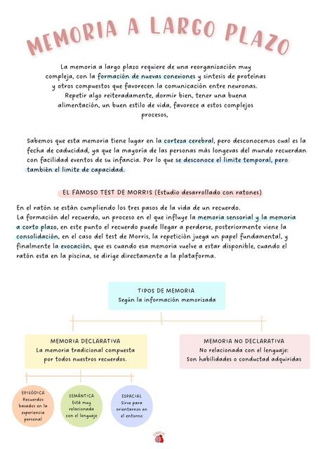 Memoria a Largo Plazo | ps.camigosher | uDocz