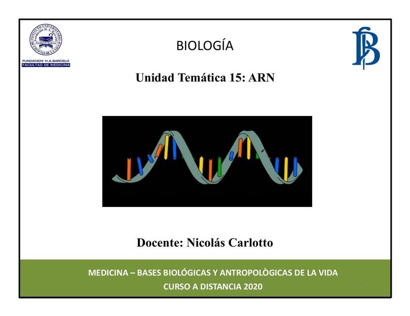 Flashcards de ARN | Por GMVALE | uDocz