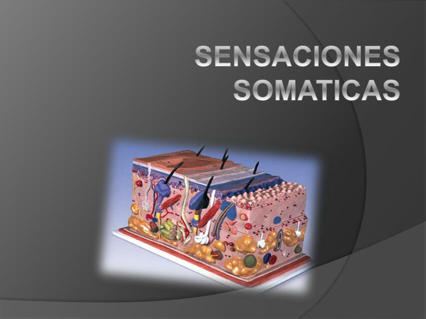 Sensaciones Somáticas | Ricardo Estudiante | uDocz