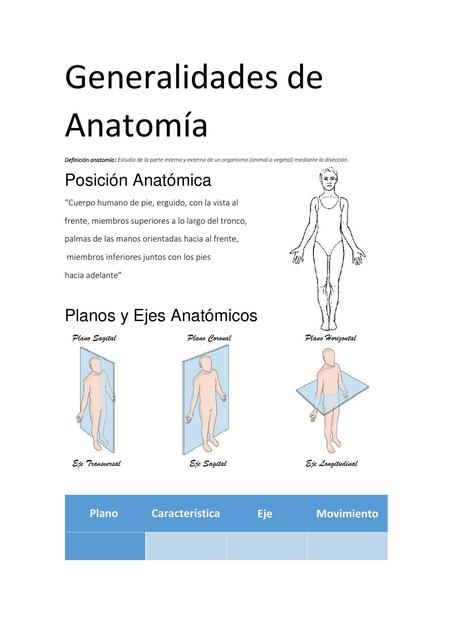 Generalidades de Anatomía | Emma ツ | uDocz