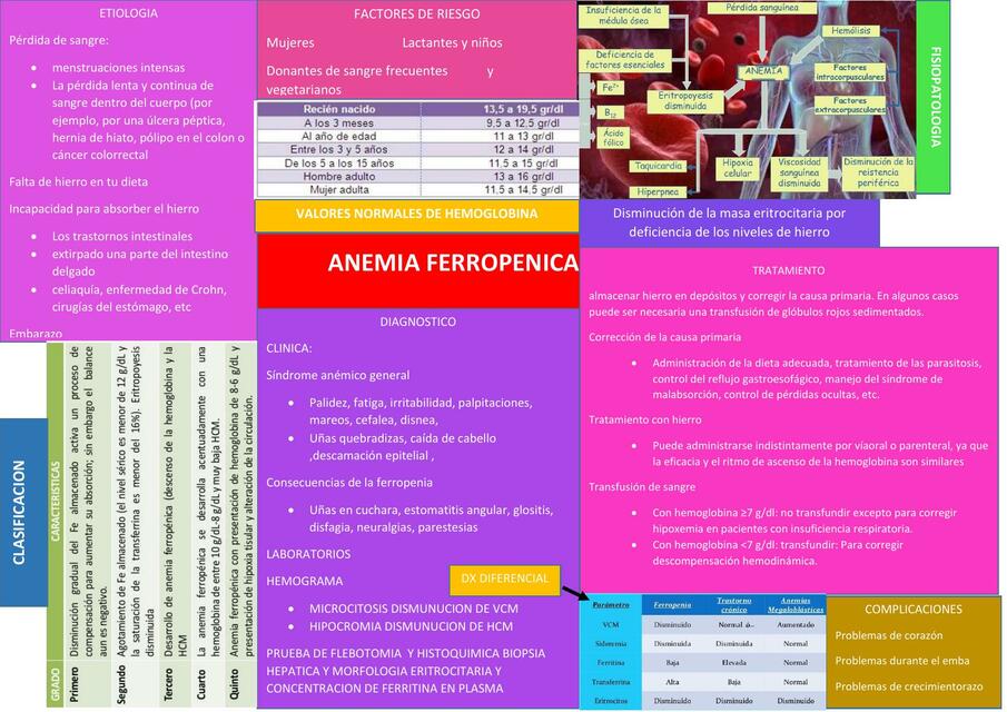 Anemia Ferropenia | sandra paniagua | uDocz
