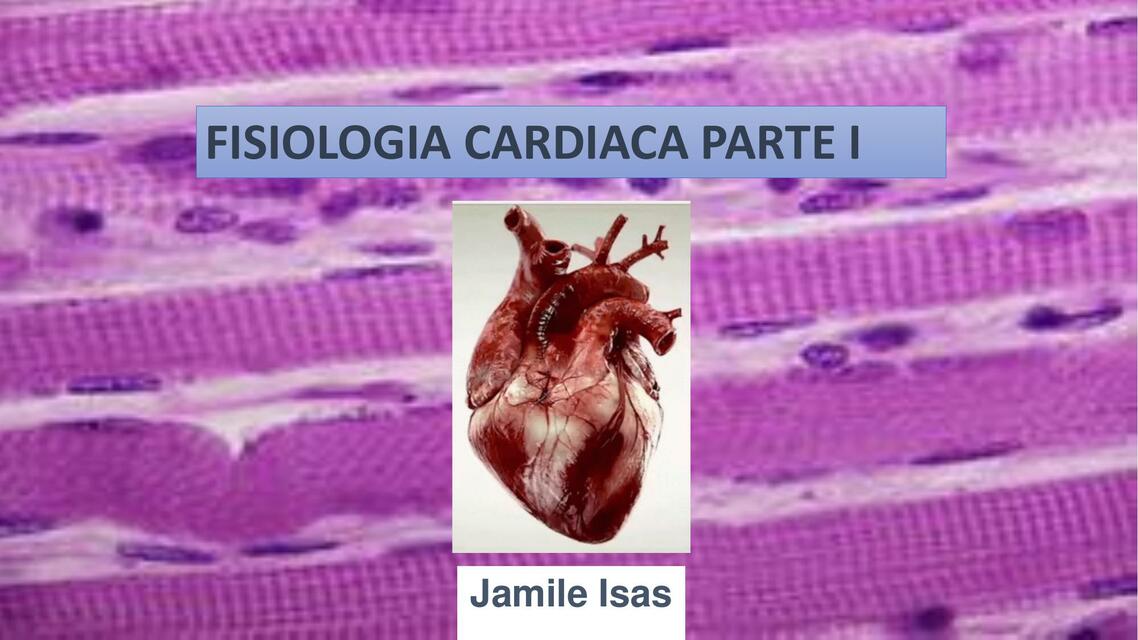 Fisiología Cardíaca | JAMILE ISAS | uDocz