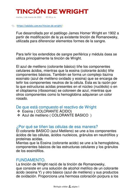 Tinción de Wright | Samantha Shernandez | uDocz