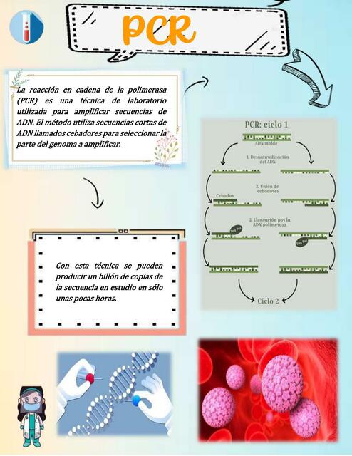 PCR | Sara Reyes | uDocz