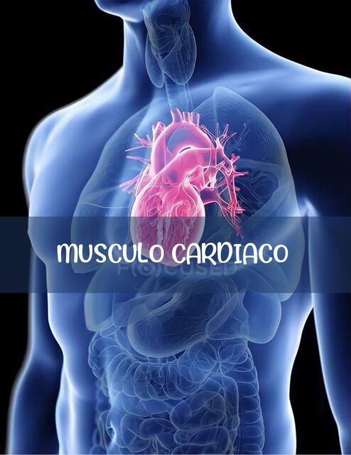 Músculo Cardiaco (cap.9, Fisiología de Guyton) | Summaries_med | uDocz