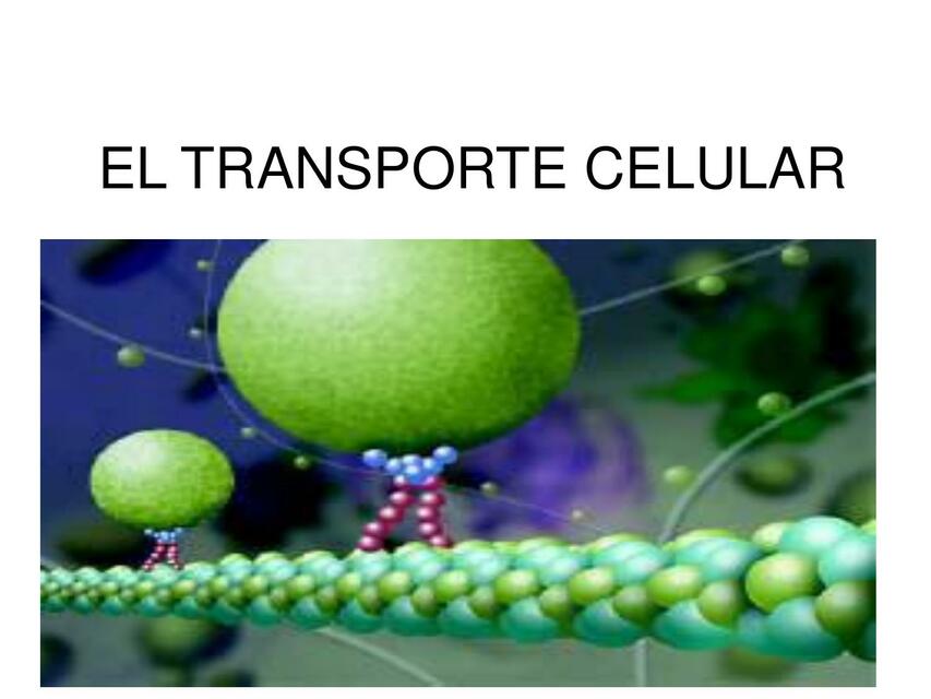 Transporte Celular | Alexia Restaino | uDocz