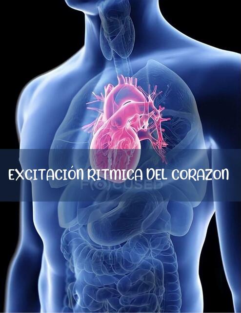 Excitación Rítmica del Corazón (cap.10, Fisiología de Guyton ...