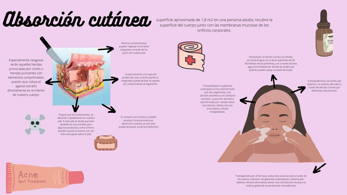 Absorción Cutánea | isabela | uDocz