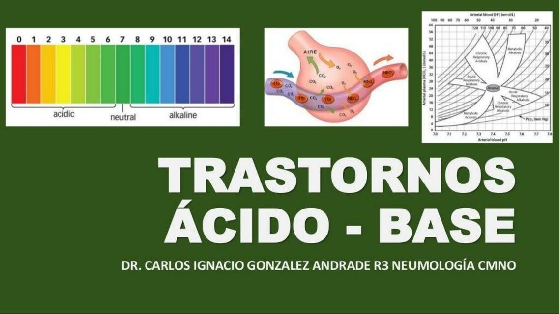 Trastornos Ácido- Base | Nela | uDocz