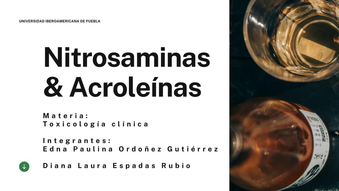 Nitrosaminas y Acroleínas | Diana Laura Espadas Rubio | uDocz