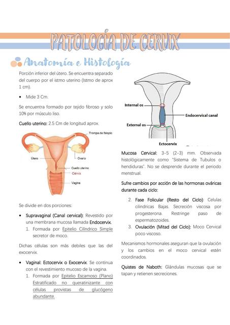 Patología de Cervix | Saul Sanchez Yepez | uDocz
