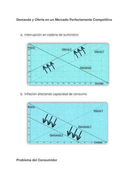 Demanda y Oferta en un Mercado Perfectamente Competitivo | Asocipa ...