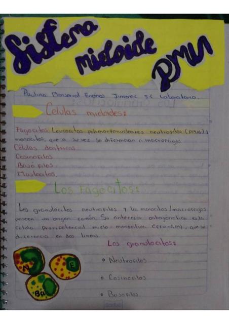 Sistema Mieloide | Monserrat Encinos | uDocz