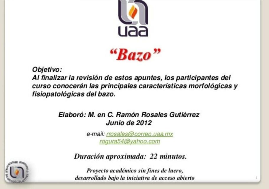 Bazo | Alisson Andrea Alvarado Aguilar | uDocz