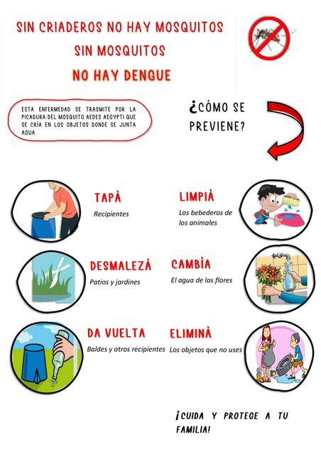Cartel Informativo Dengue | julieta hidalgo | uDocz