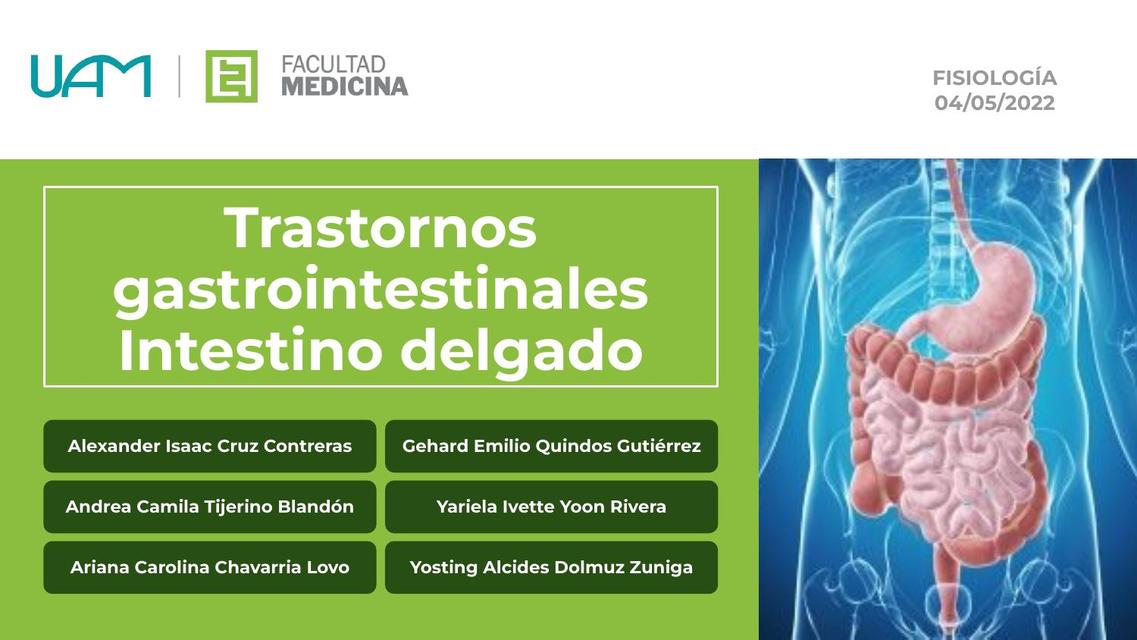 Trastornos Gastrointestinales: Intestino Delgado