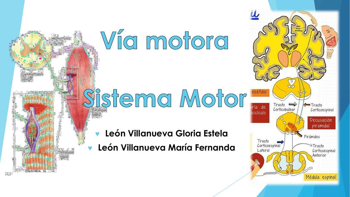 Sistema Motor | alberto | uDocz