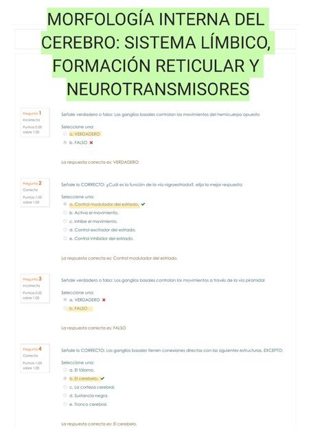 Cuestionario: Morfología Interna del Cerebro | Briggitte Yamilé Suarez Esteban | uDocz