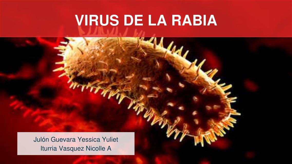 El Virus de la Rabia | yessica julón guevara | uDocz