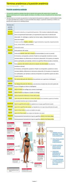 Términos Anatómicos y la Posición Anatómica | Mystic med | uDocz