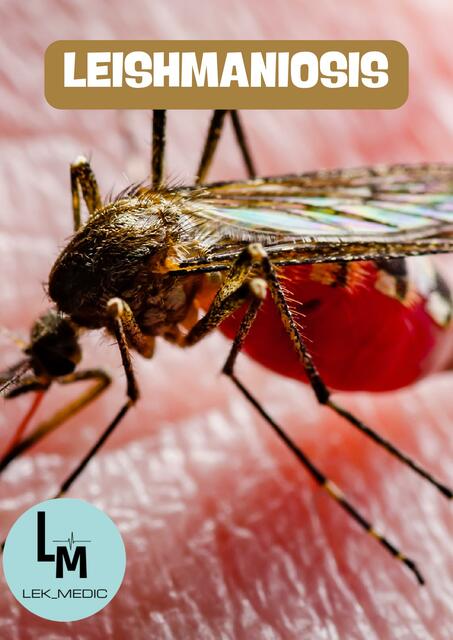Leishmaniosis | LEK_MEDIC | uDocz