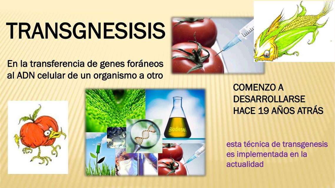 Transgénesis | Vannessa Huarachi | uDocz