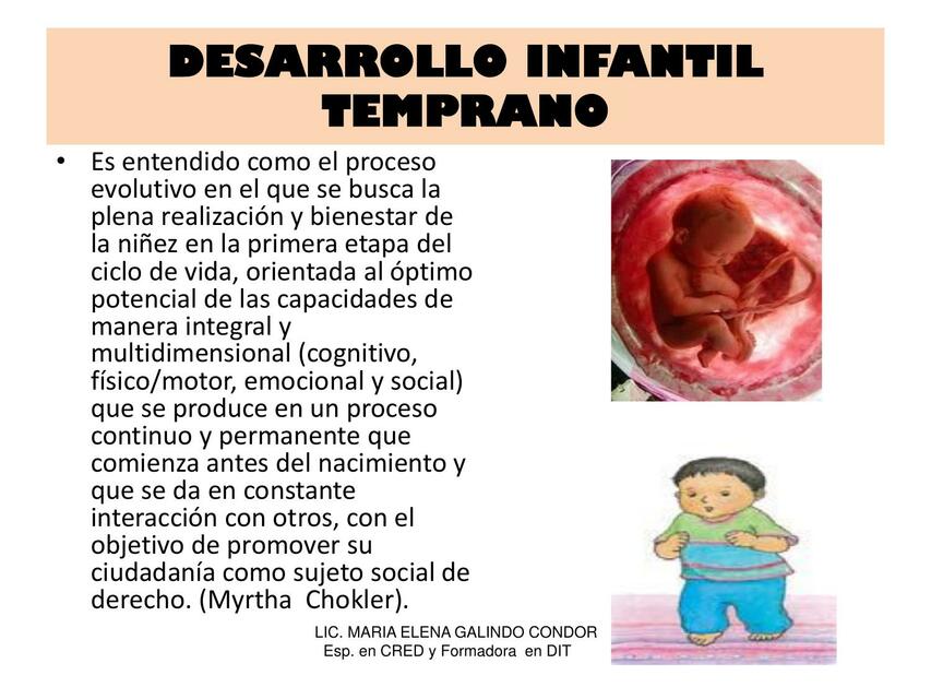 Desarrollo Infantil Temprano | Christian Rojas | uDocz