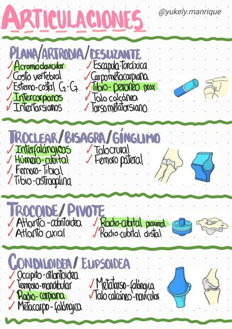 Tipos de Articulaciones | Yukelyy | uDocz