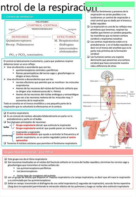 Control de la Respiración | Florencia | uDocz