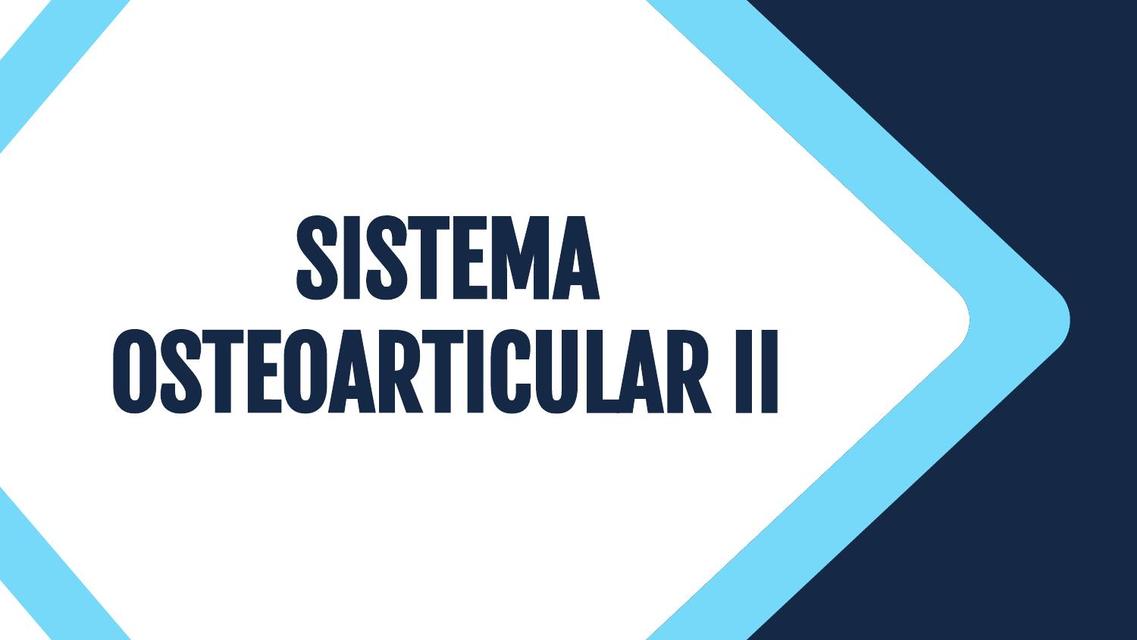 Sistema osteoarticular | uDocz