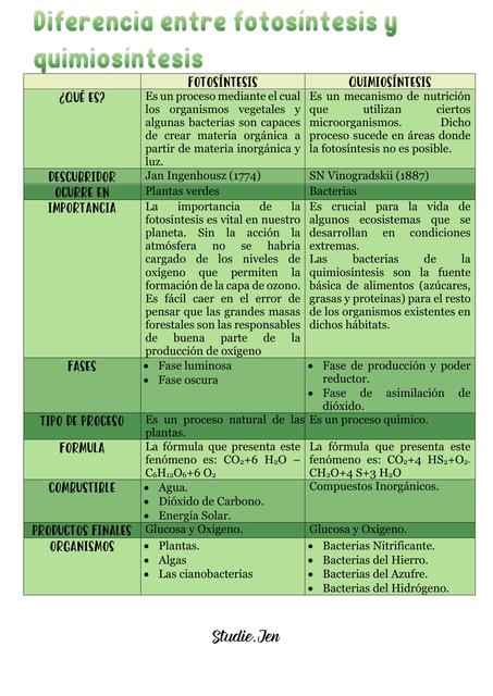 Diferencia entre Fotosíntesis y Quimiosíntesis | Studie.Jen | uDocz