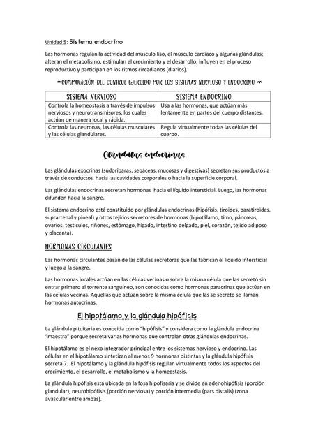 Sistema Endocrino | Solange Navarro | uDocz