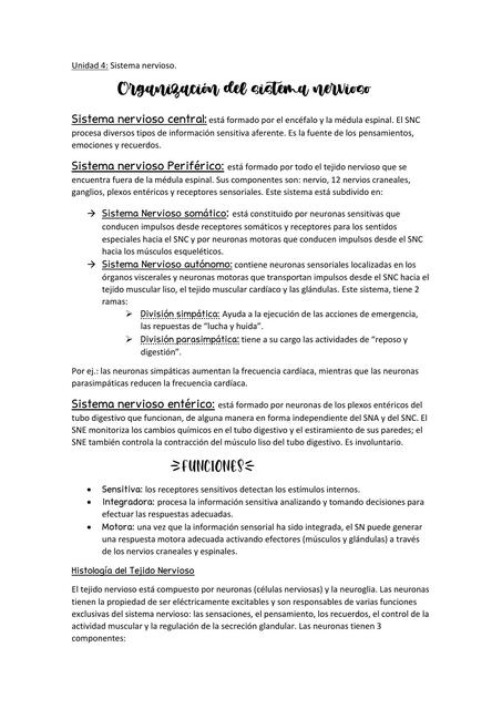 Sistema Nervioso | Solange Navarro | uDocz