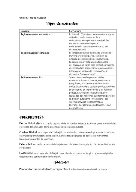 Sistema Muscular | Solange Navarro | uDocz