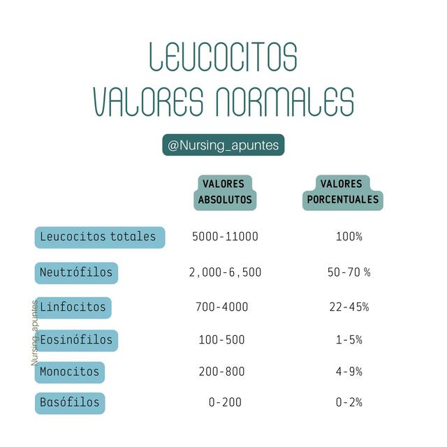 Leucocitos Valores Normales Nursing Apuntes UDocz