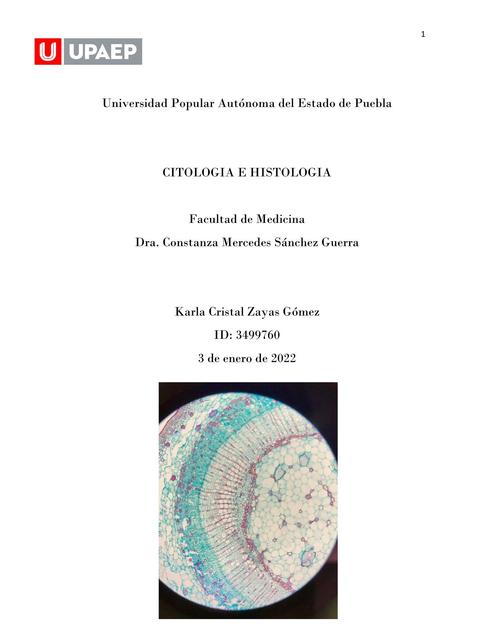 Resúmenes de Partes del microscopio | Descarga apuntes de Partes del ...