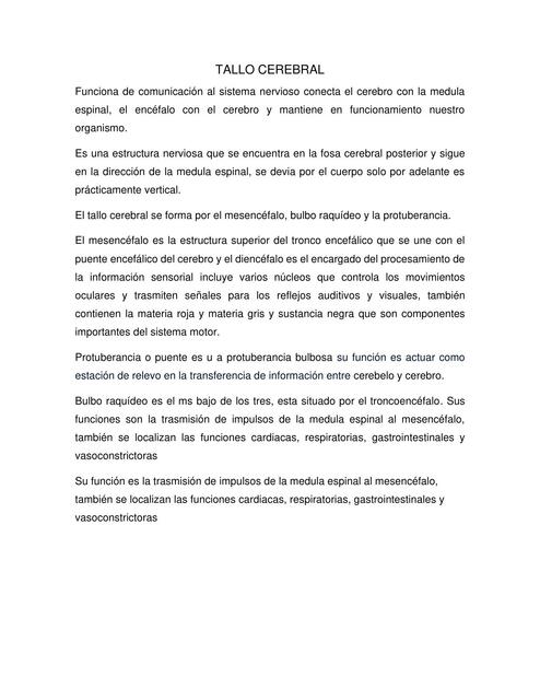 Tallo Cerebral | yaneth ruiz | uDocz