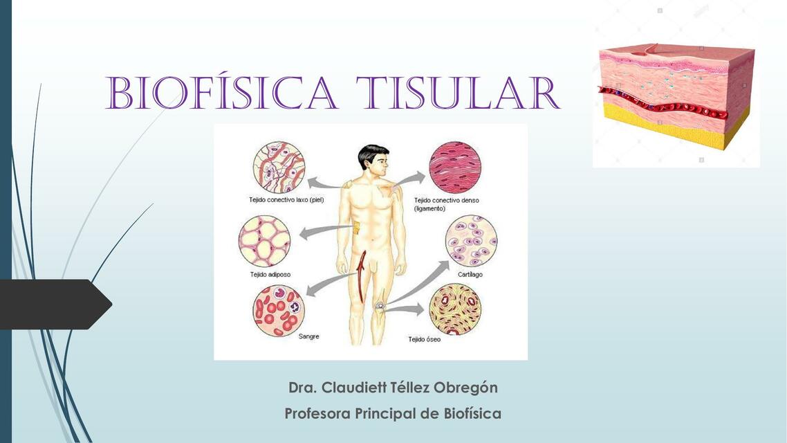 Biofísica Tisular | FRANCO ESCAMIAS | uDocz