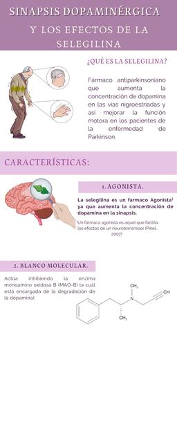 Sinapsis Dopaminérgica y los Efectos de la Selegilina | sara molina | uDocz