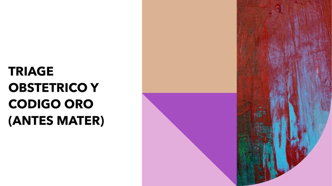 Triage Obstetrico y Código de Oro (Antes Mater) | 28.-Claudia Estefany ...
