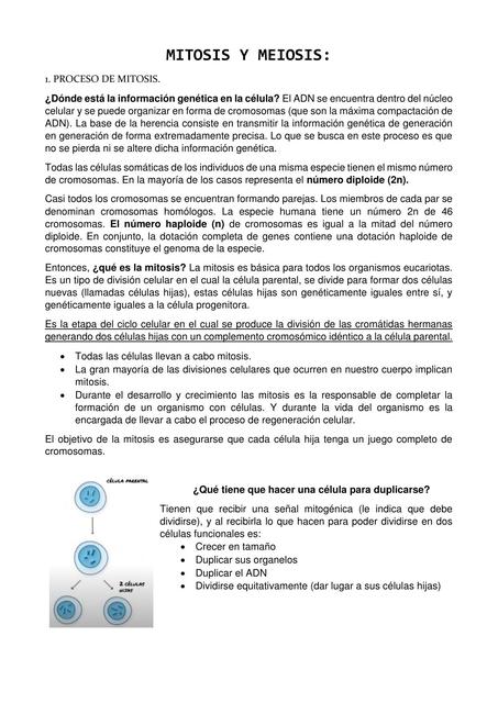 Mitosis y Meiosis | Romina Tenorio | uDocz