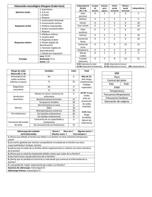 Resúmenes de Escala zarit | Descarga apuntes de Escala zarit