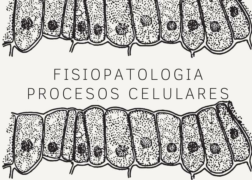 Fisiopatología- Procesos Celulares | uDocz